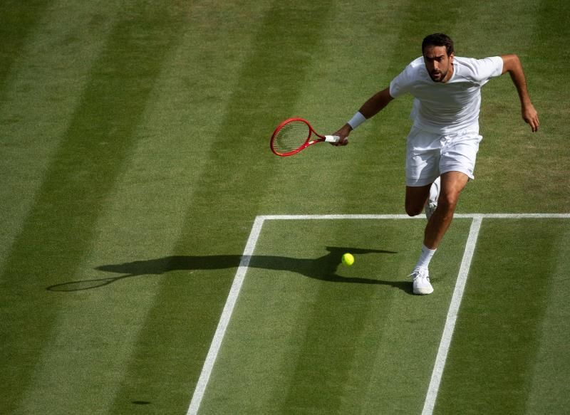 Medvedev se recompone ante Cilic - Estadio Deportivo